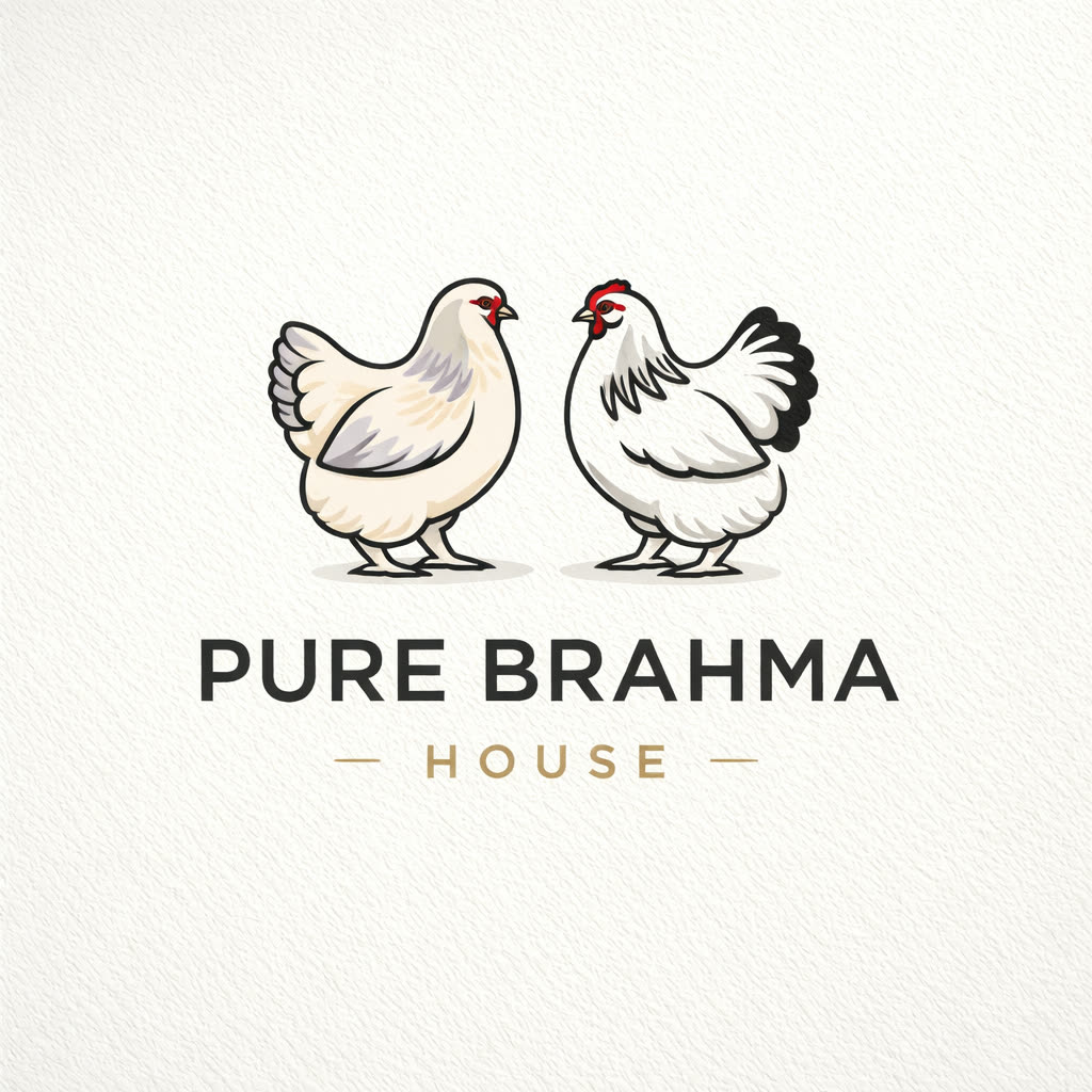 Pure Brahma House | Pakistan's Premium Brahma Breeders